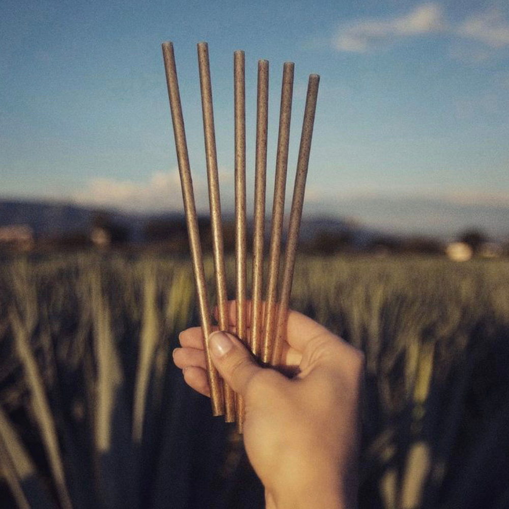Sustainable Sample Box - 20+ Agave Biodegradable Straws - Just Pay ...